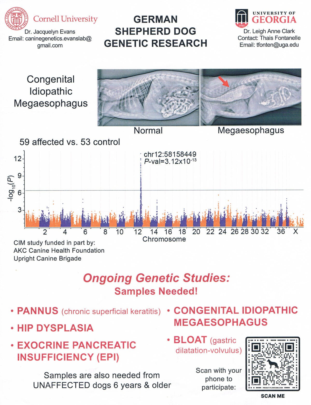 Health & Genetics - The German Shepherd Dog Club of America