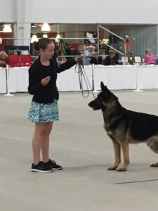 2024 National Junior Showmanship Trophy Donations - The German Shepherd ...