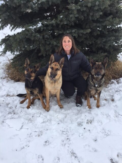 Breeder/Puppy Ads - The German Shepherd Dog Club of America