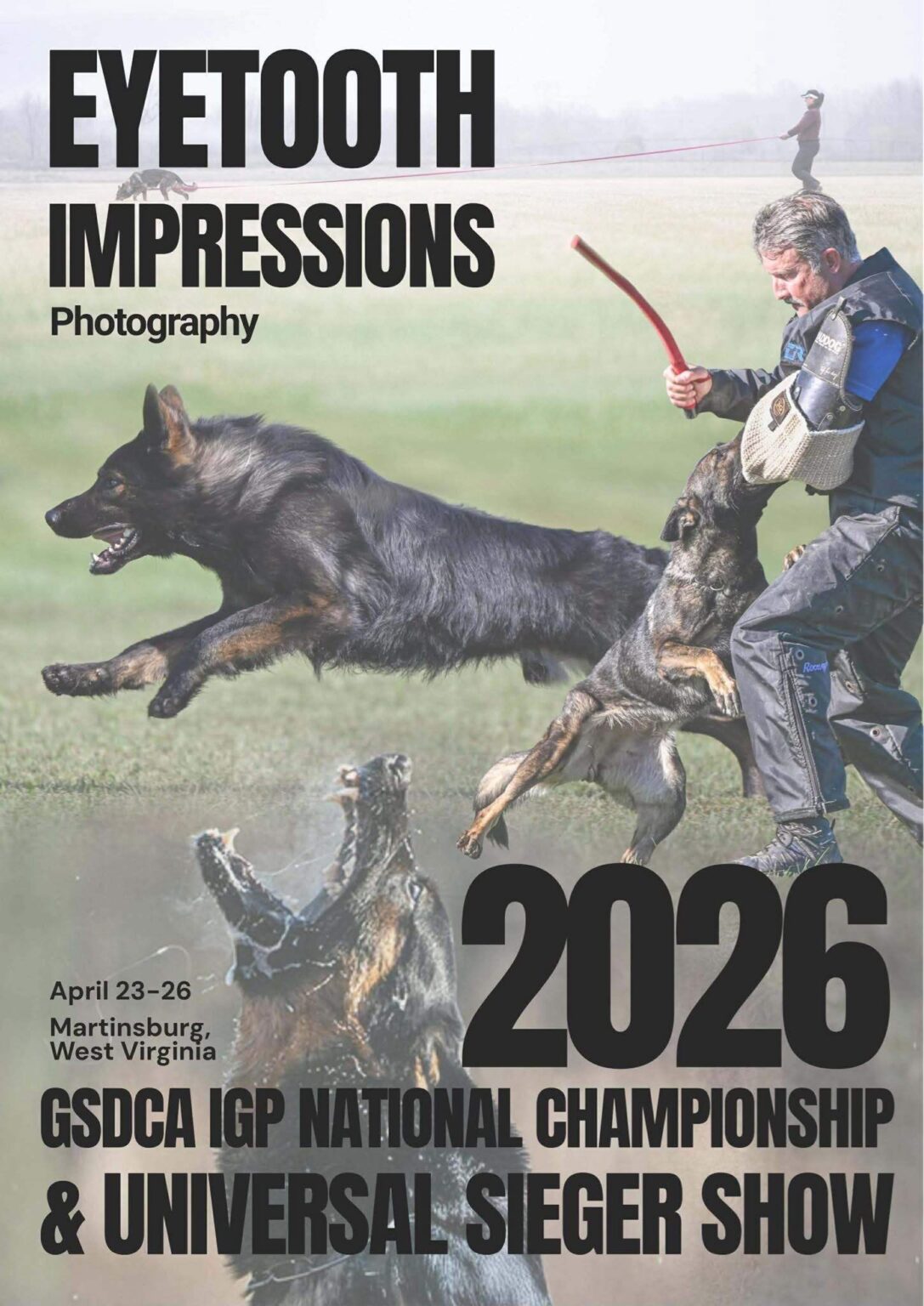 2026 GSDCA SV National IGP Championship & Universal Sieger Show - The ...