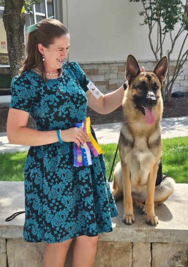 Breeder/Puppy Ads - The German Shepherd Dog Club of America